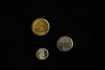 Coin Collecting Terms And Definitions [Glossary]